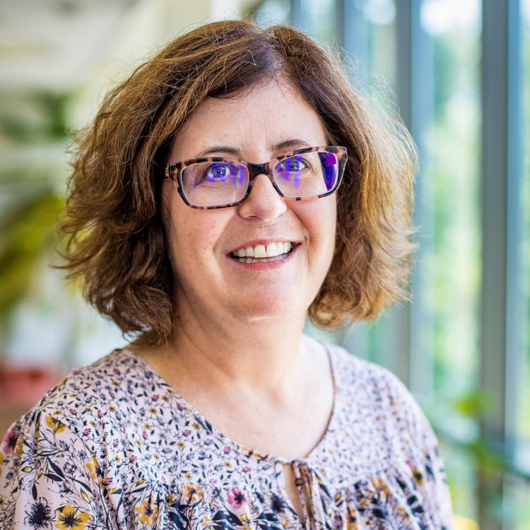 Our Courses - Great Hearts Act